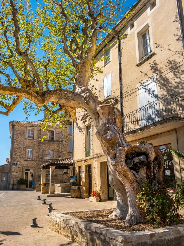 Discover Sablet | Vaison Ventoux Provence