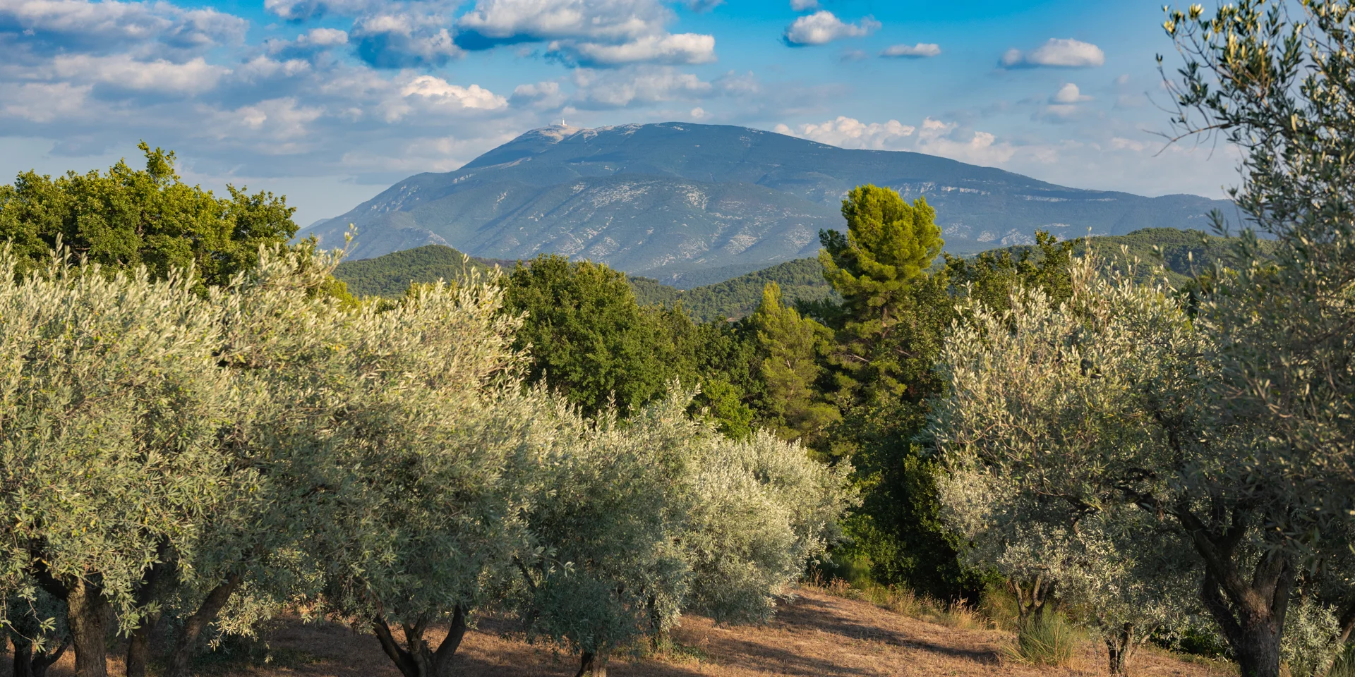 Campings | Vaison Ventoux Provence