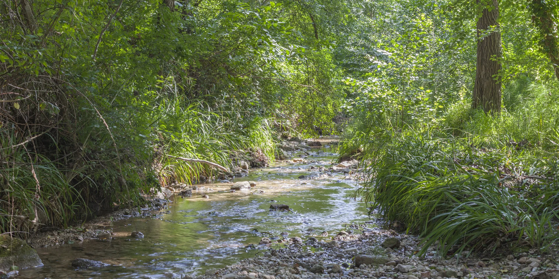Trois rivières au cœur des paysages : l’Ouvèze, l’Aygues et le ...