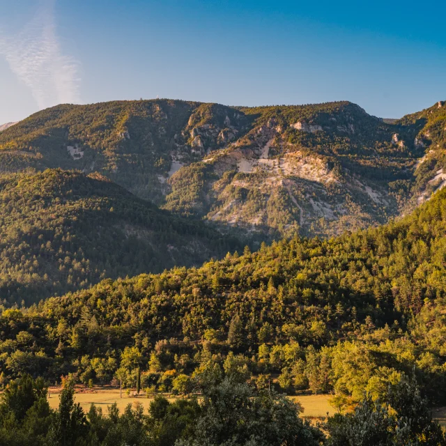 En direct | Vaison Ventoux Provence